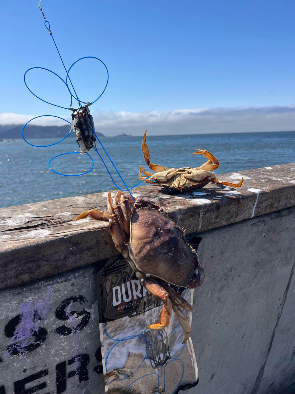 DURASNARE Vinyl Coated 8oz Blue Line Crab Snare
